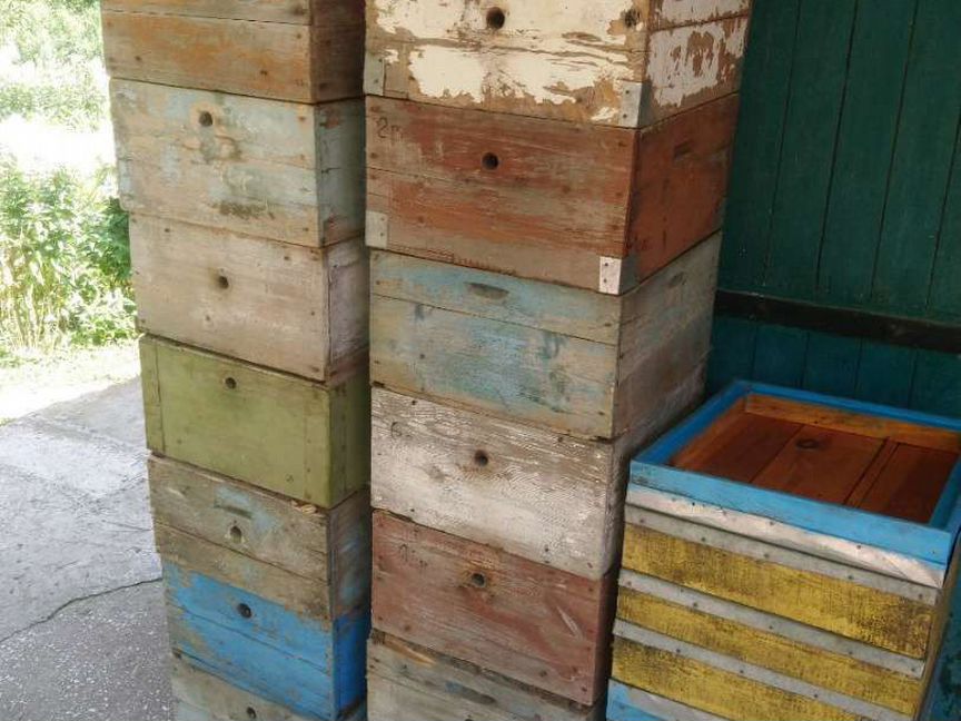 Принадлежности для пасеки