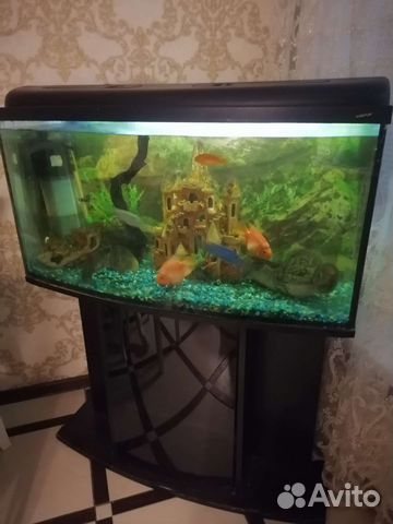 Аквариум с тумбой
