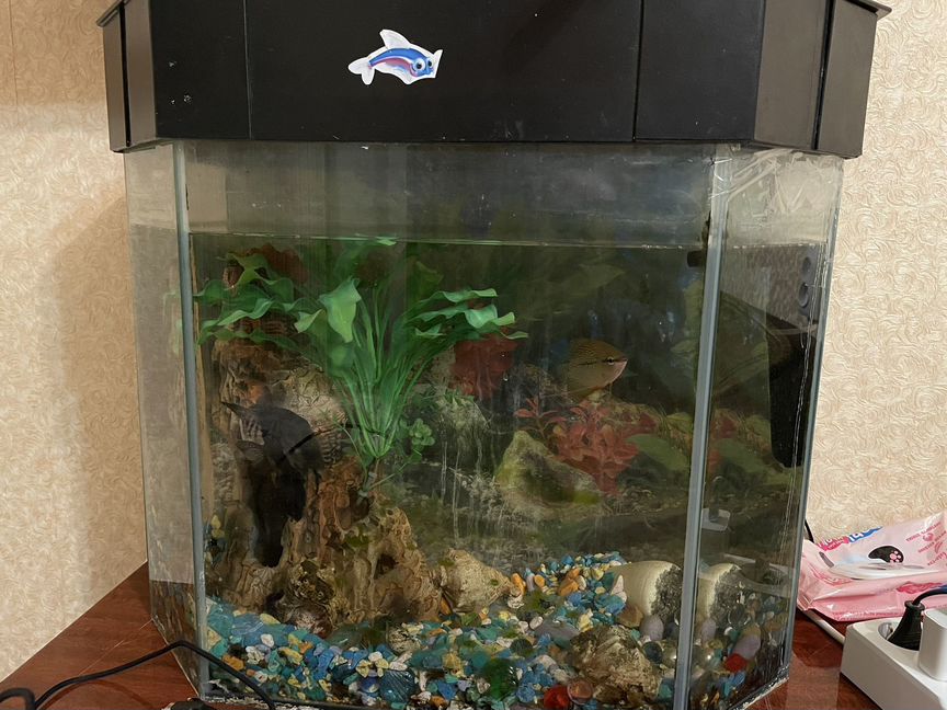 Аквариум с тумбой и рыбками