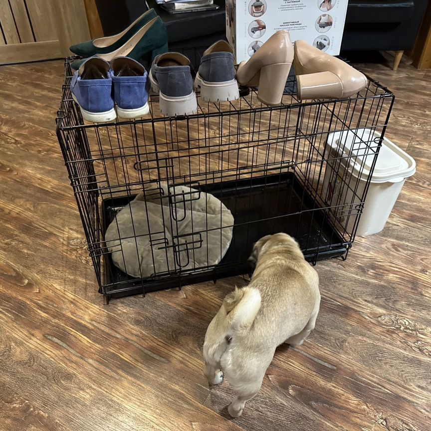 Клетка для собак