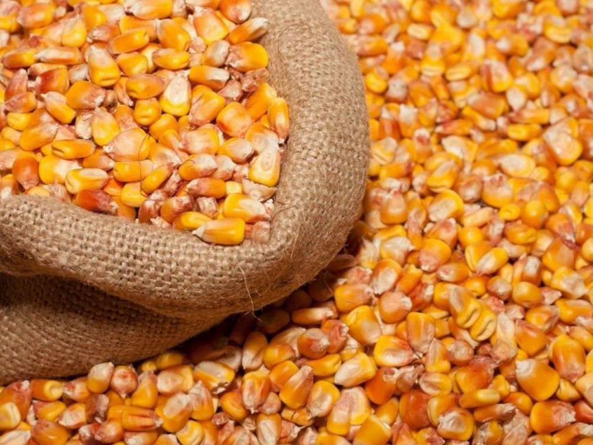 Кукуруза молотая