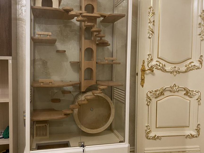 Витрина для шиншилл, дегу «Джуманджи-2»