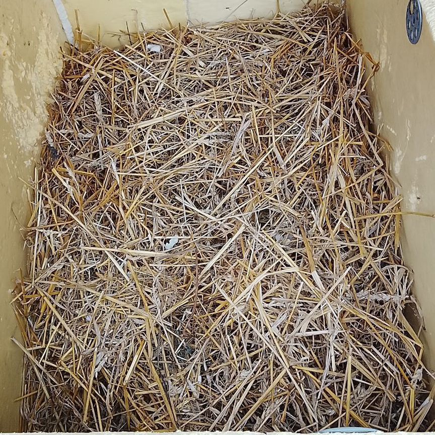 Будка для собаки утепленная продам