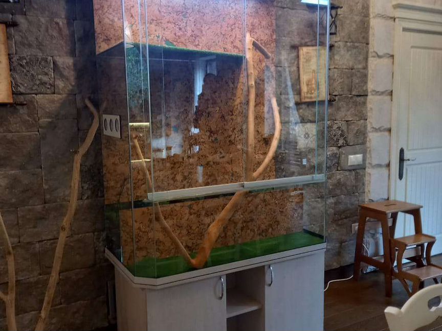 Террариум для игуан