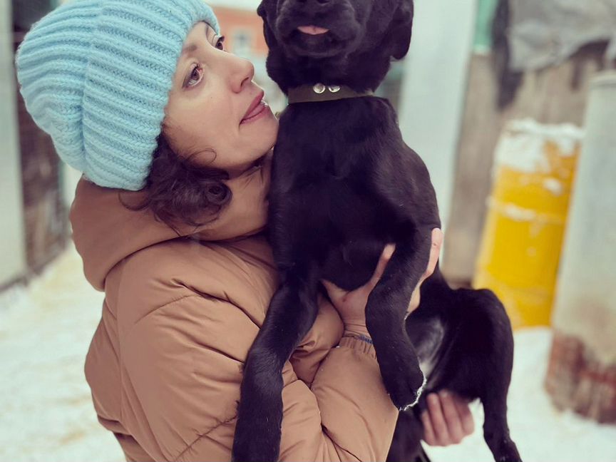 Щеночек Тимьян в добрые руки