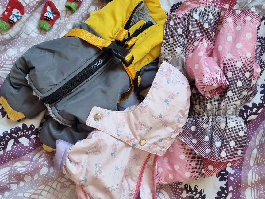 Одежда для маленьких пород собак