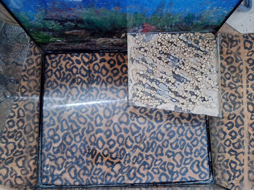 Аквариум для черепах. 55-25л