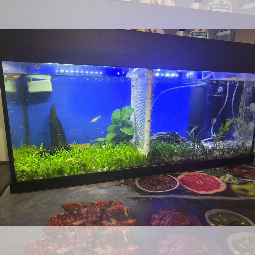 Аквариум с рыбками