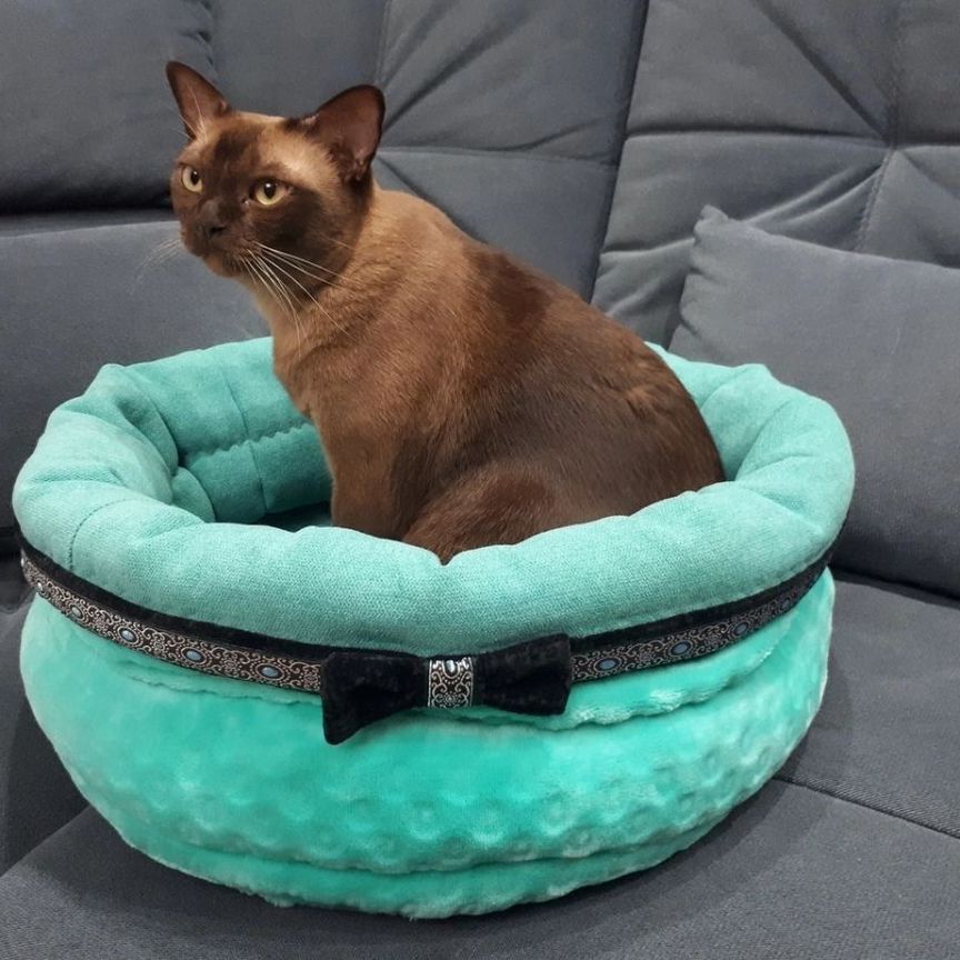 Уютные лежанки для котов