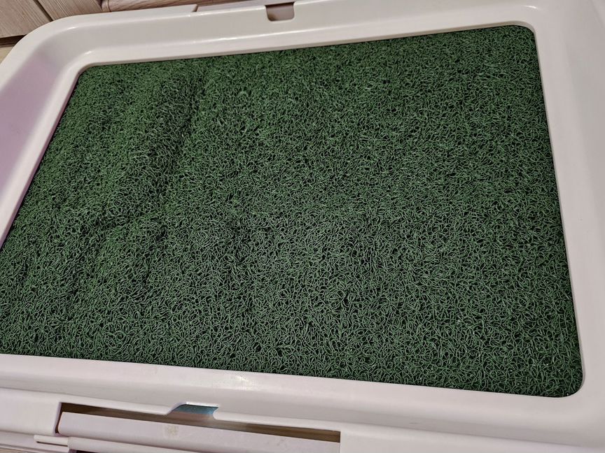 Лоток для собак