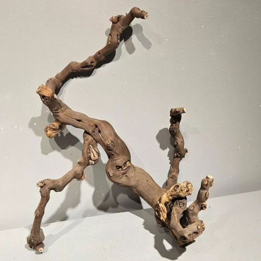 Коряга в аквариум