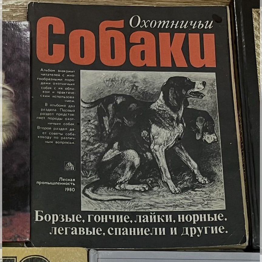 Охотничьи собаки