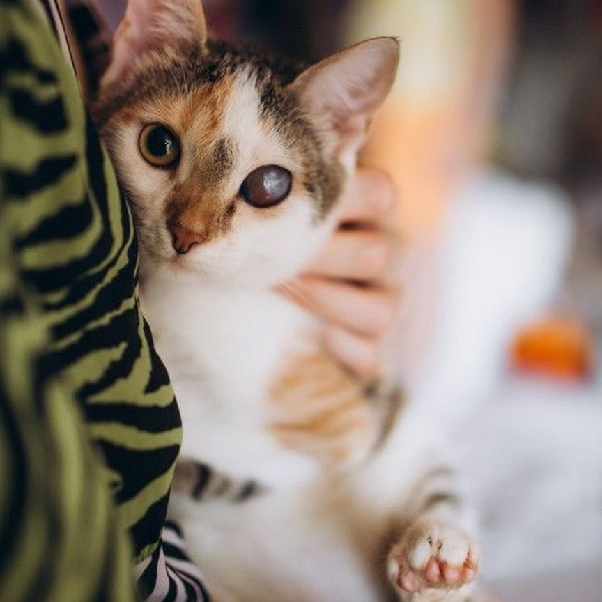 Дашуня 4 мес