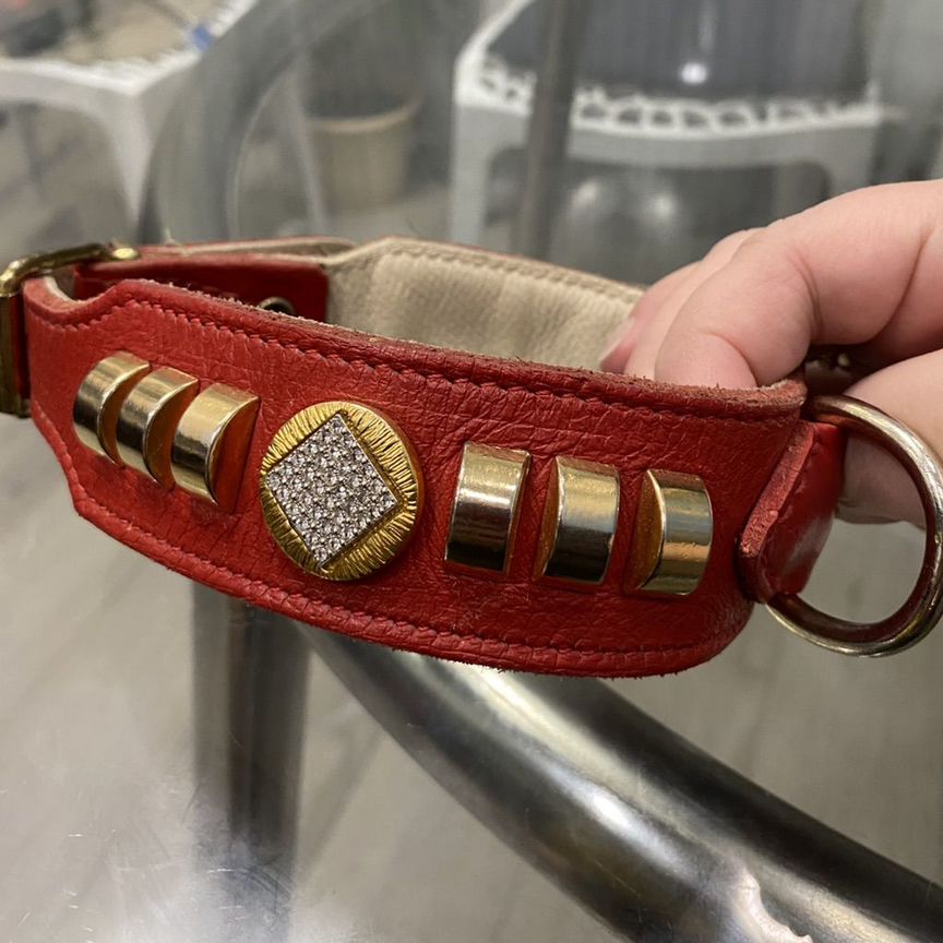 Ошейник для собак