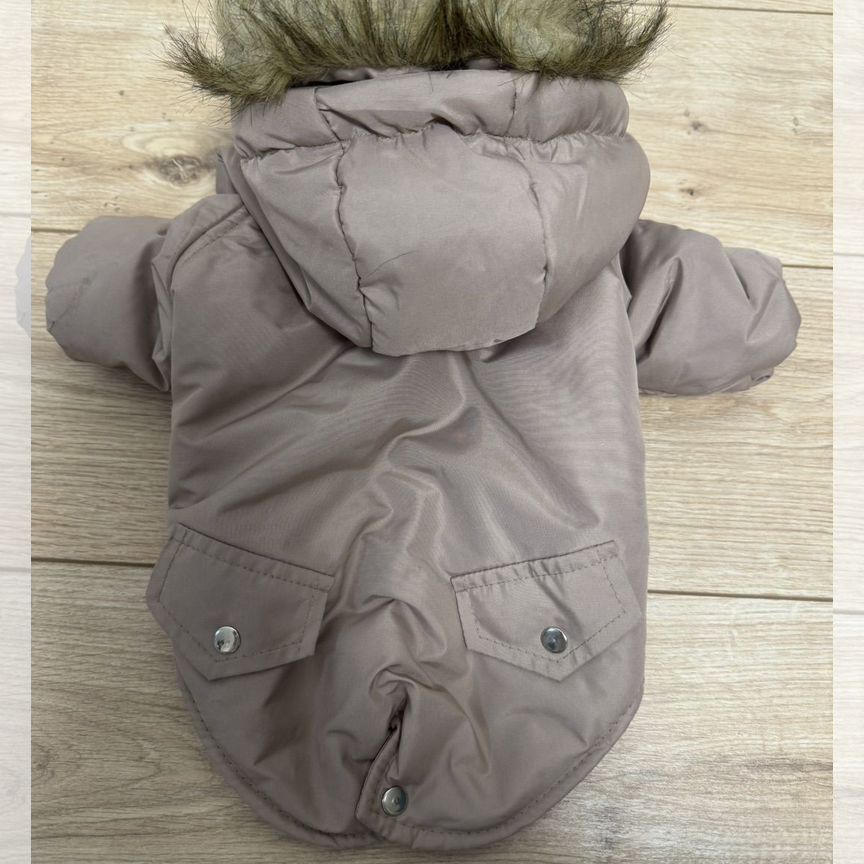 Одежда для собак