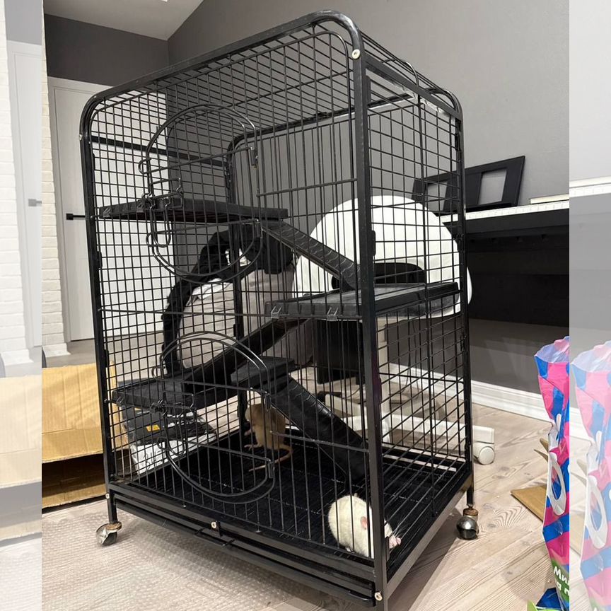 Клетка для грызунов большая