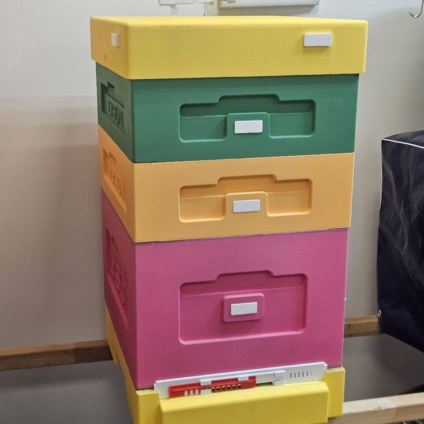 Улей дадан 10 рам с двумя магазинами