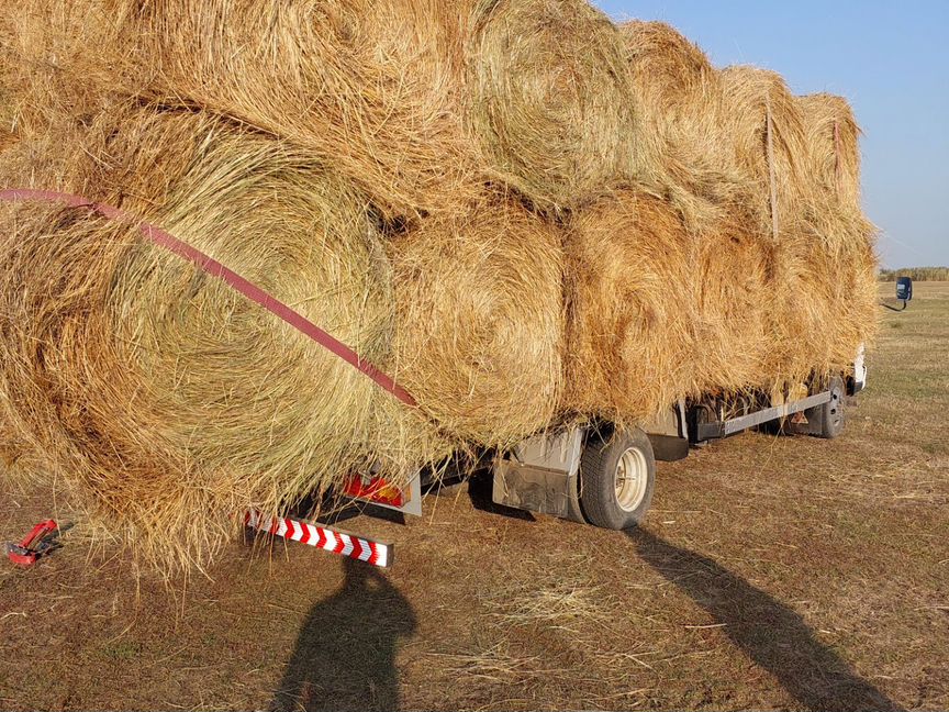 Сено в рулонах 2023. Привезу от 6шт