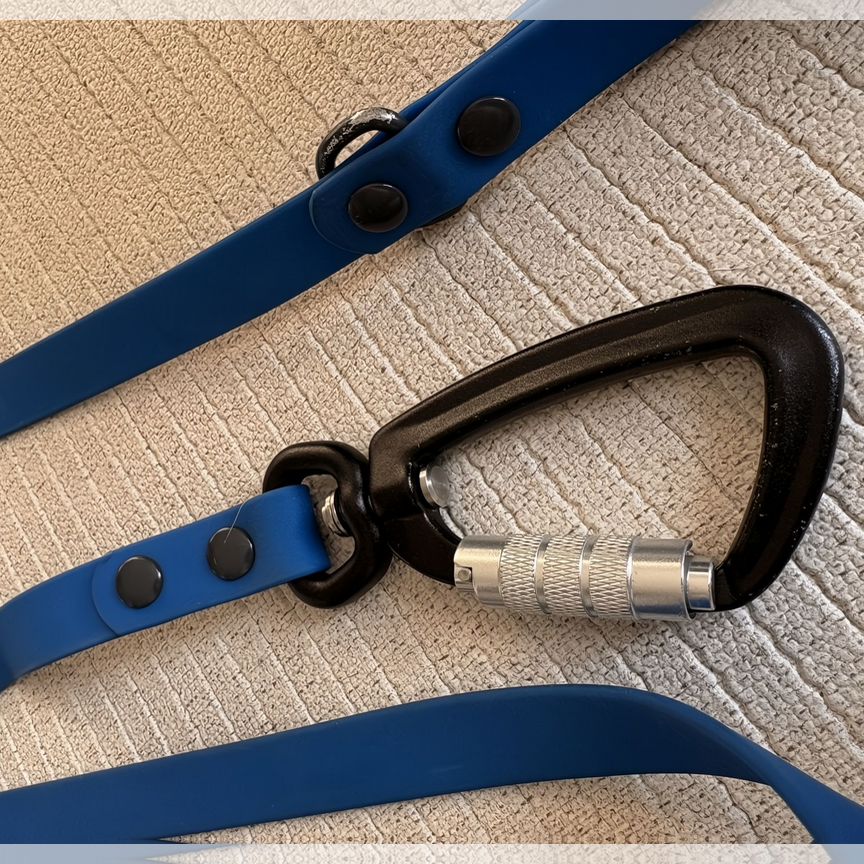 Биотановый поводок 5 м