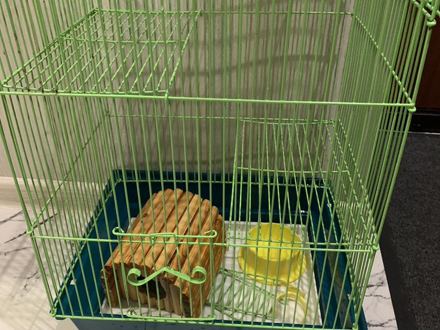 Клетка для грызунов бу