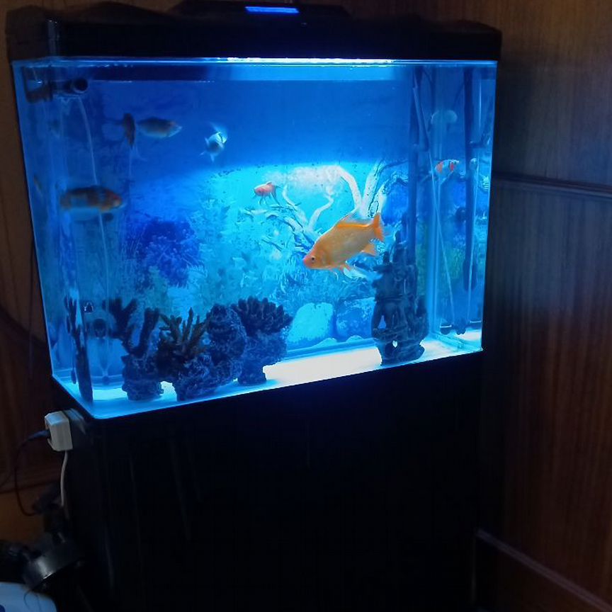 Аквариум с тумбой Sunsun 150 л