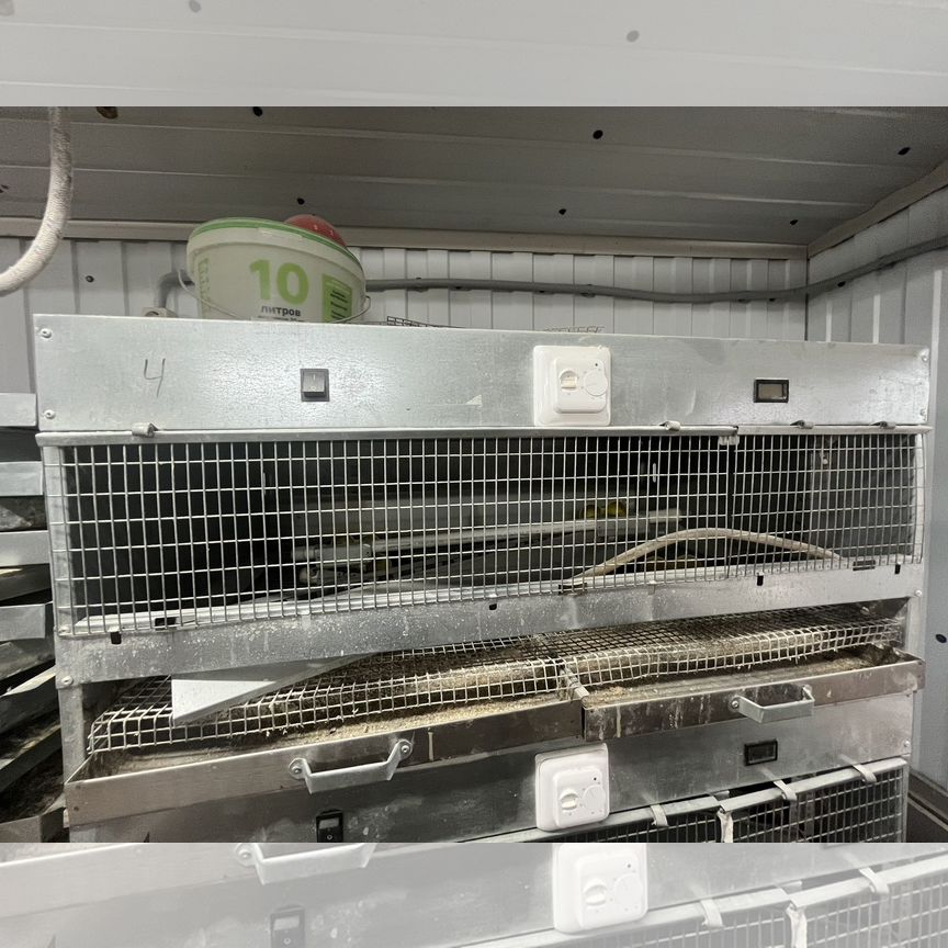 Брудер клетка для цыплят