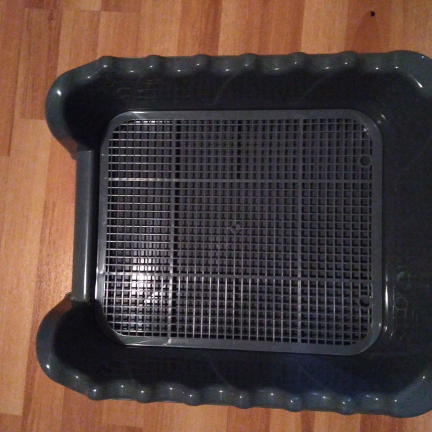 Лоток для собак