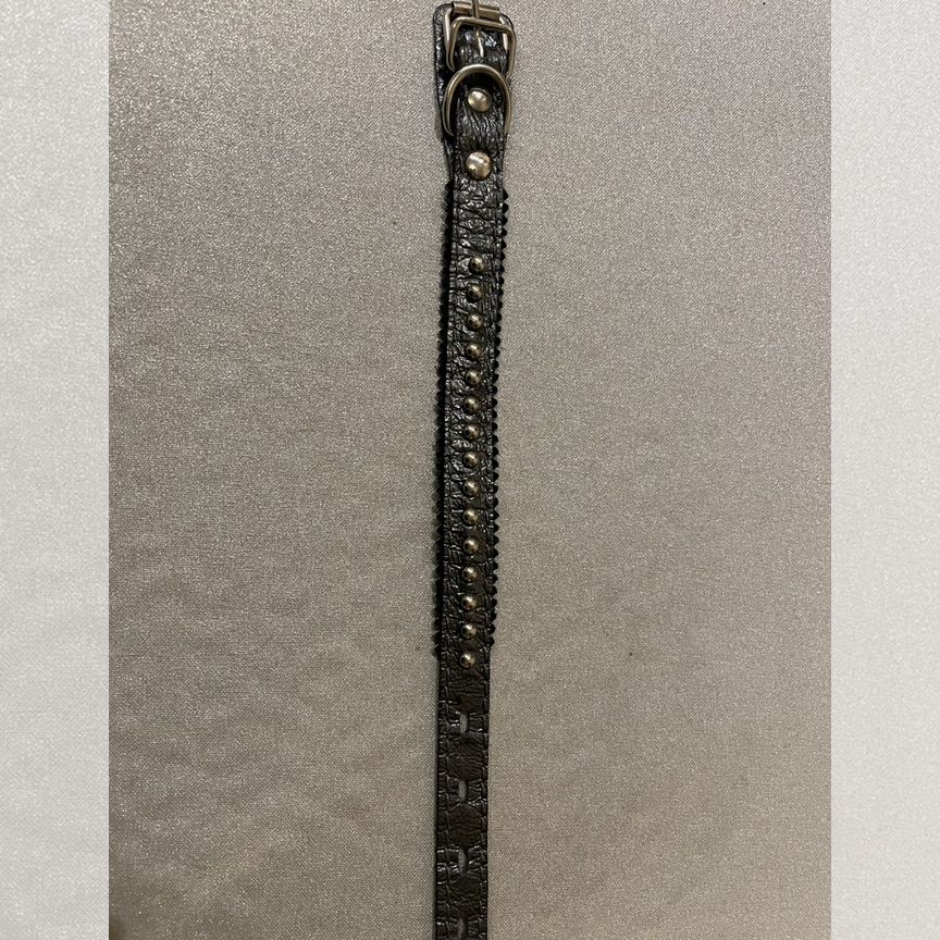 Ошейник модняшка