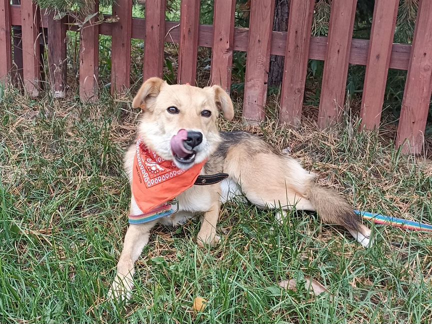 Небольшая Софийка