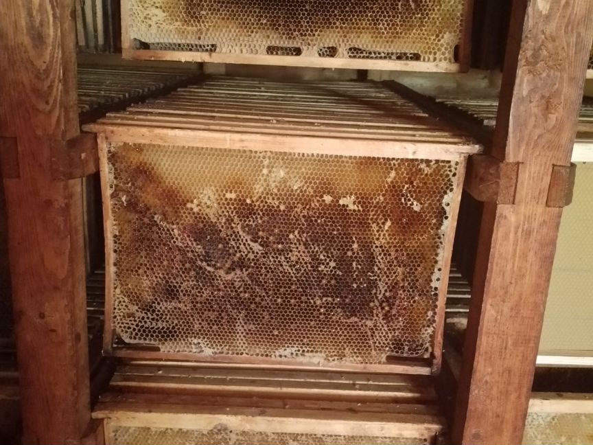 Товары для пчеловодства