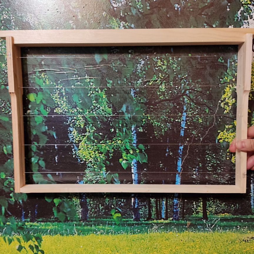 Рамка для пчел