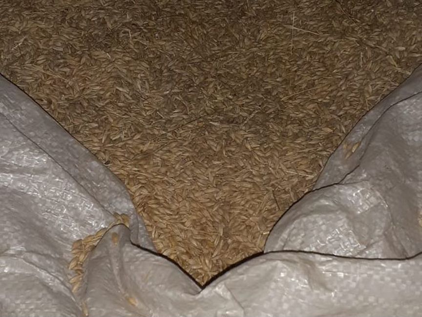 Продам Зернофураж Пшеница Ячмень Овес