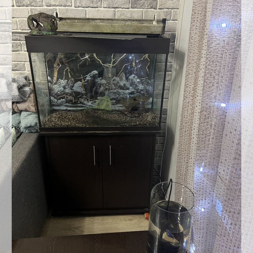 Аквариум с тумбой воронеж 110литров