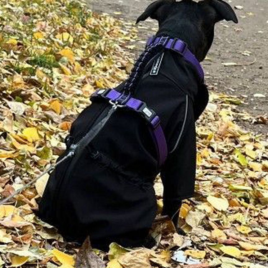 Комбинезон для собаки