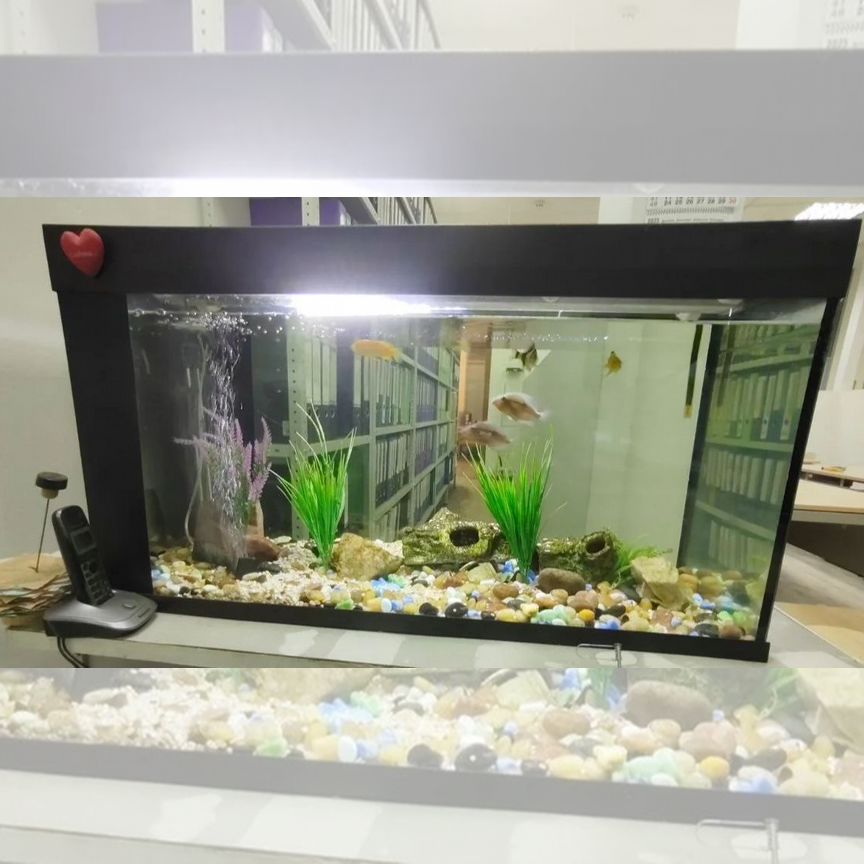 Аквариум 200 литров