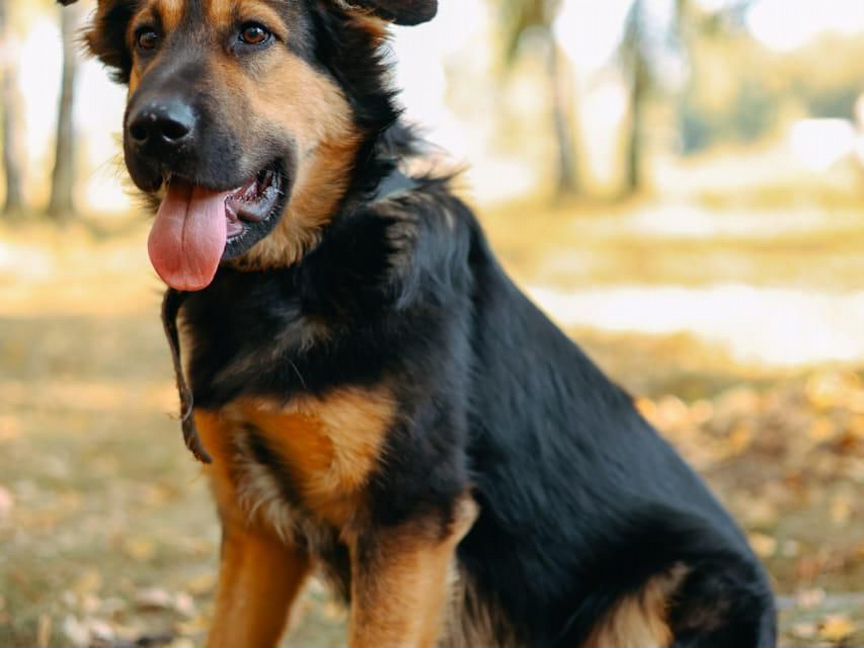 Я умру без человека