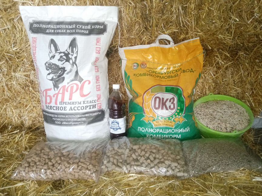 Сухой Корм для Собак Каша для Собак