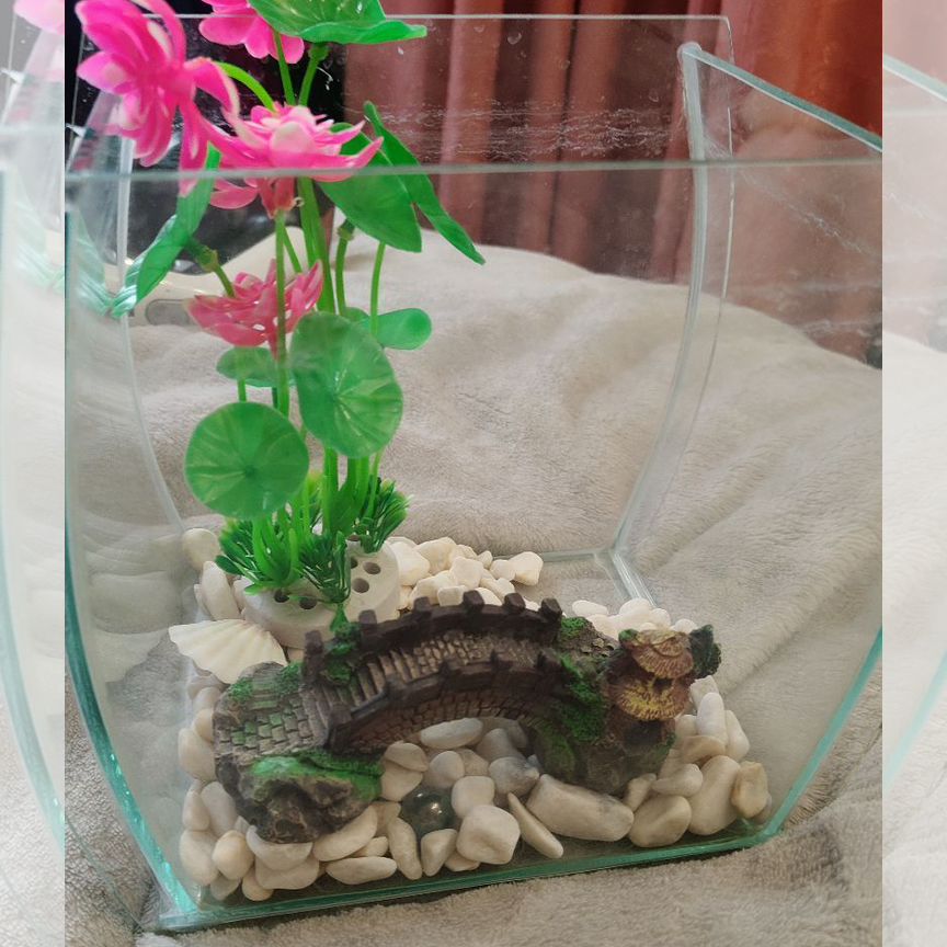 Аквариум 5 литров