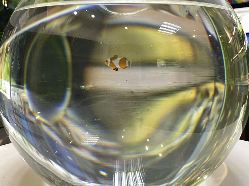 Морской аквариум для ребенка