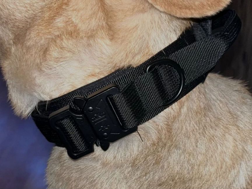 Ошейник для крупной собаки