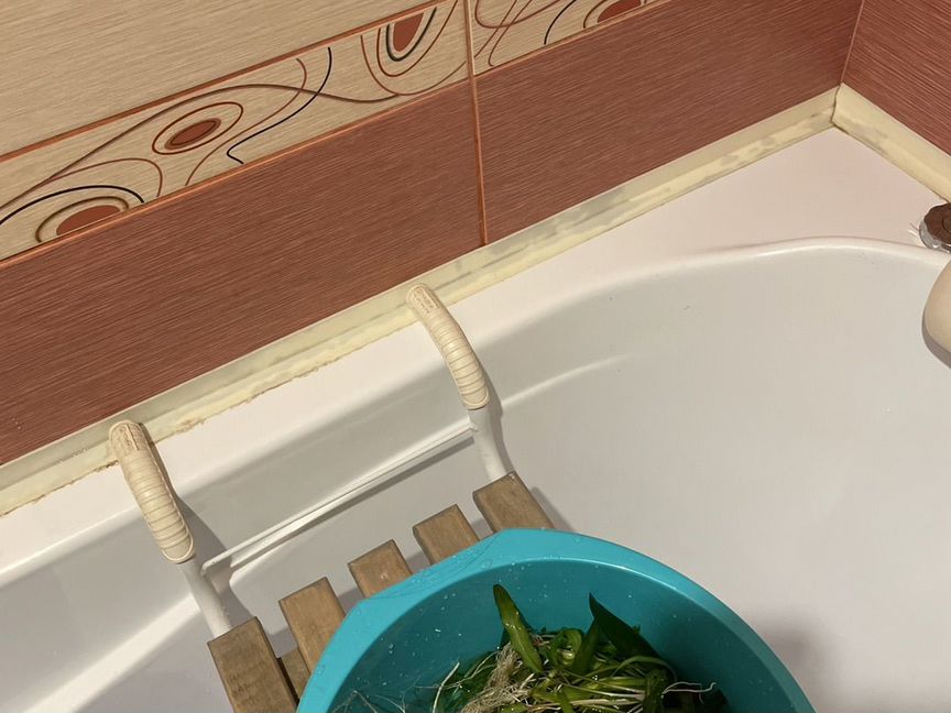 Аквариумная прополка