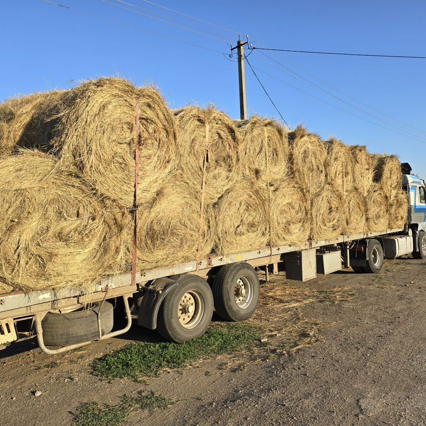 Сено. Доставка