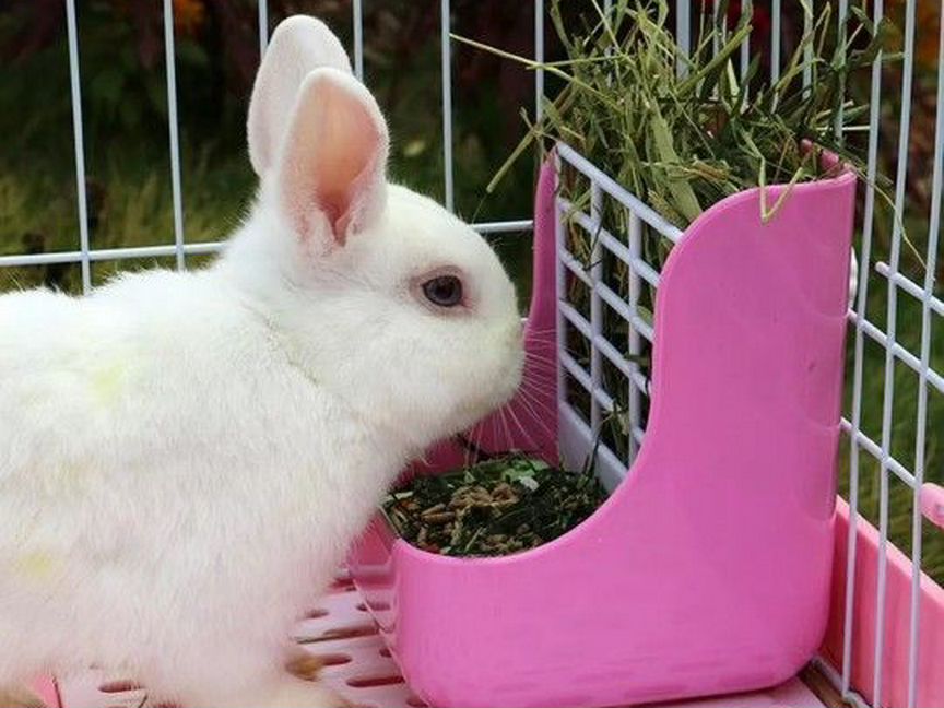 Кормушка для грызунов кроликов