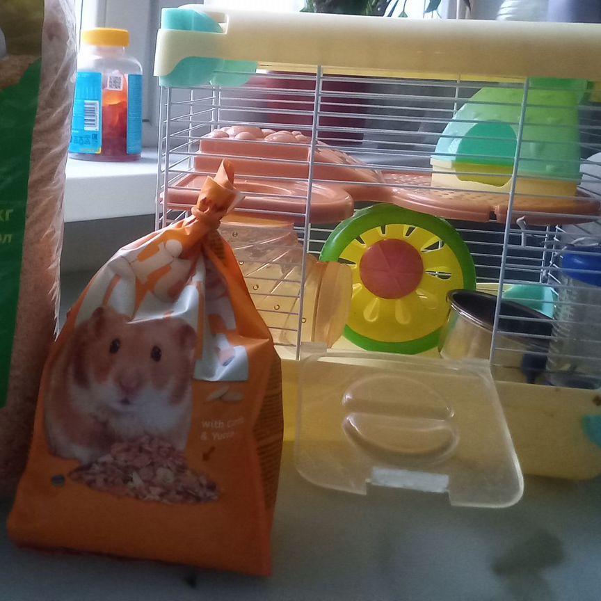 Клетка для джунгарского хомяка