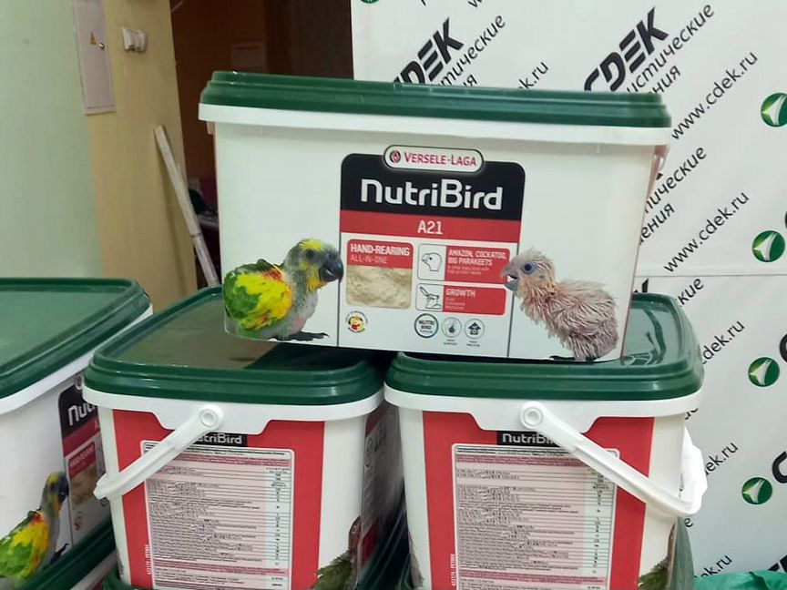NutriBird A21, А19. Питание для птенцов