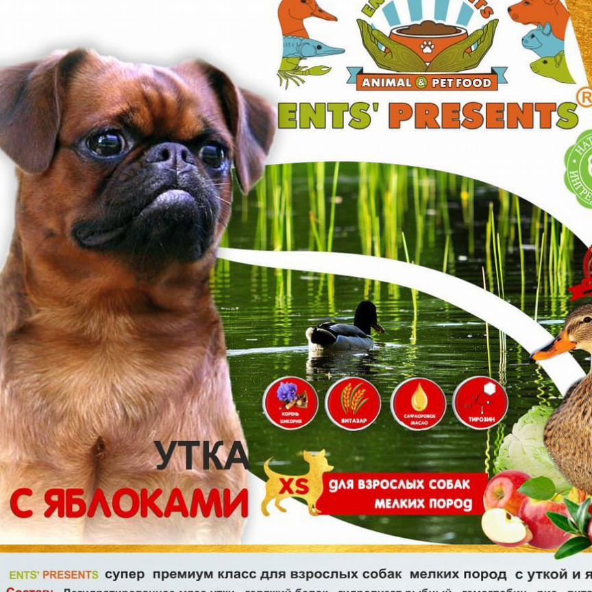 Сухой корм для собак