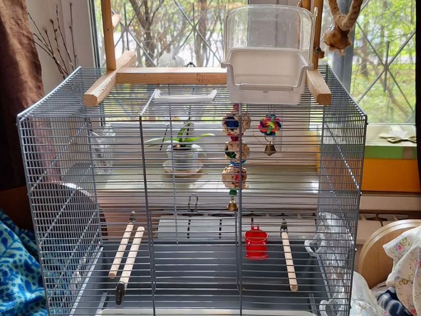 Клетка для волнистого попугая