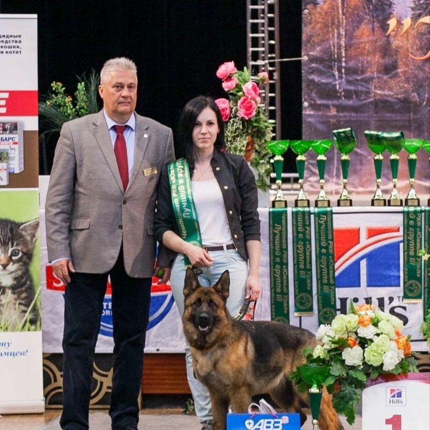 Щенки немецкой овчарки (2 и 4 мес)