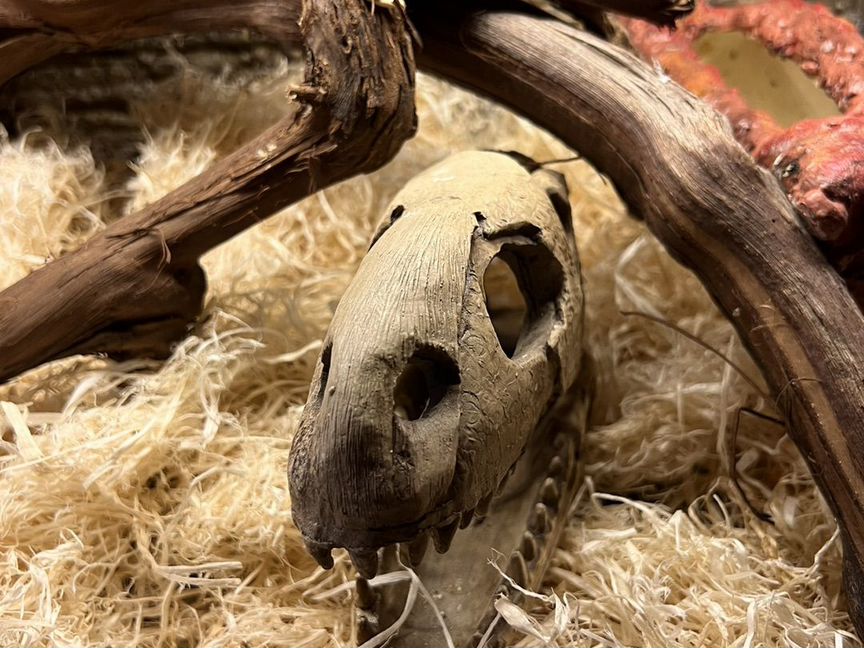 Субстрат exo terra snake bedding