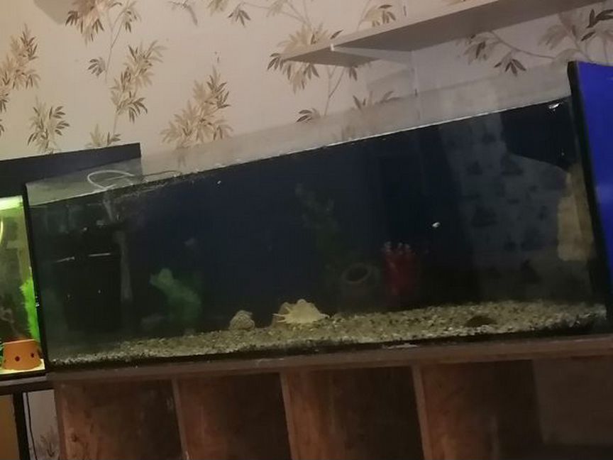 Аквариум 320л